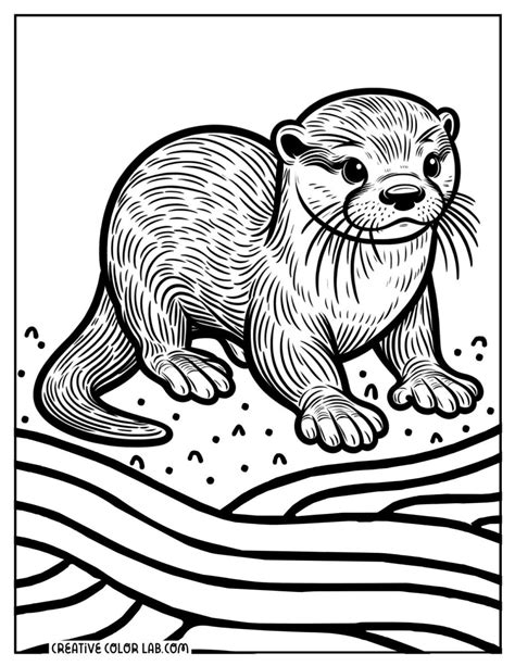 Free Printable Otter Coloring Pages