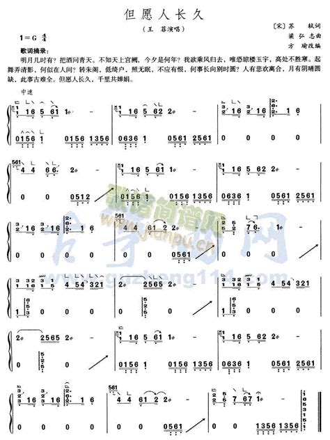 但愿人长久 歌谱简谱网