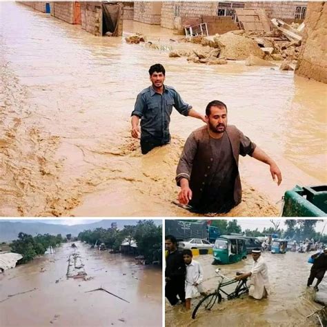 رضا کاظمی Reza Kazimi آصف آشنا عدالت، قصهِ‌مفت در جمهوریت کذایی