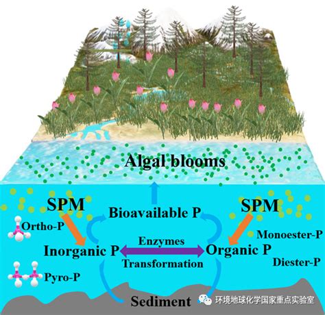 行业新闻 江苏宏众百德生物科技有限公司