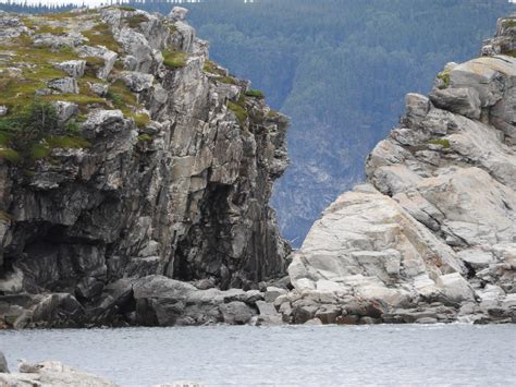 Brents Cove Newfoundland Tourist Information