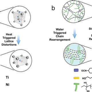 Design Of Shapememory Polyurethanes To Achieve Softtostiff Download Scientific Diagram