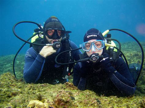 Spearfishing For Beginners A Complete Guide Artofit