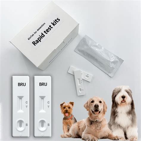 犬布鲁氏菌 Bru Ab 检测试剂盒试纸 Kintek Detection