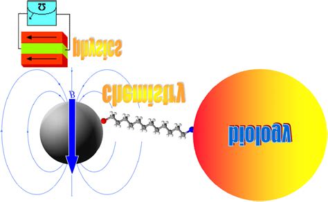 Schematic Presentation Of A Biosensor Concept For Single Molecule Download Scientific Diagram