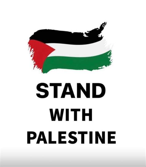 Mohammad Tayseer On Linkedin D9rs3pnv