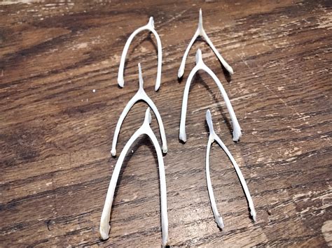 Pheasant Wish Bones For 2 Silver Pheasant Wish Bones From Usa Etsy