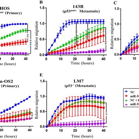 Cellular Migration Assays Performed On 5 Os Cell Lines Treated With
