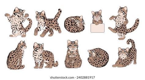 흰색 곷들 스톡 벡터 및 벡터 아트 7428개 Shutterstock