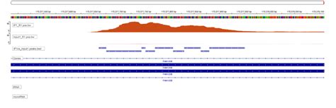 Rbp Eclip Peak Calling Eclipsebio