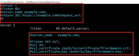 Prepare A Reporting Solution On Linux A Comprehensive Guide
