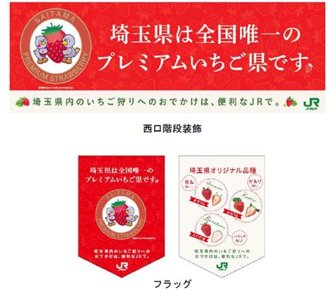 【埼玉県】「プレミアムいちご県」に2年連続で認定されます －埼玉県 ｜btobプラットフォーム 業界チャネル