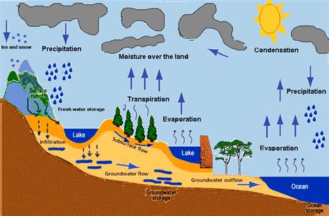 Different Component Of Hydrological Cycle Download Scientific Diagram