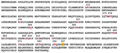 The Protein Sequence Of Brca1 Associated Protein 1 Showing