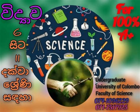 Easy Science Science O L Grade 6 11 Online