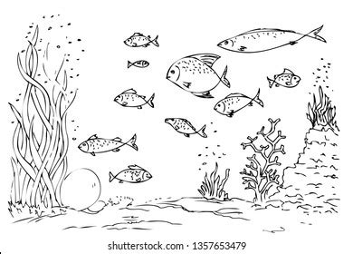 23 Thousand Ecosystem Drawing Royalty Free Images Stock Photos Pictures Shutterstock