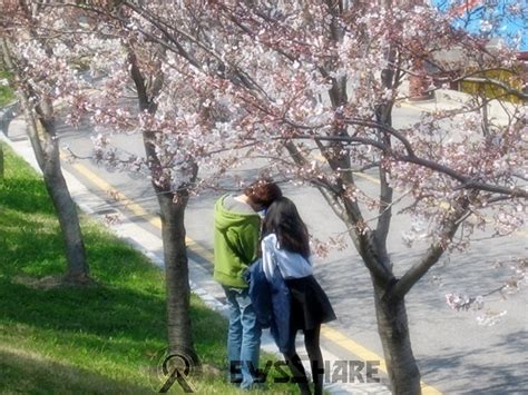 포토 유달산봄꽃에 시름을 잊다 뉴스쉐어 NewsShare 시대를 이끄는 새로운 정론