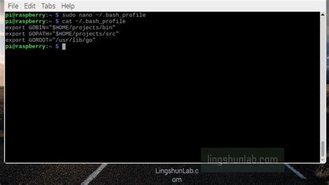 Raspberry Pi 树莓派编写go语言的hello World！ 凌顺实验室