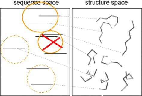 Figure 13 From Local Sequence Structure Relationships In Proteins
