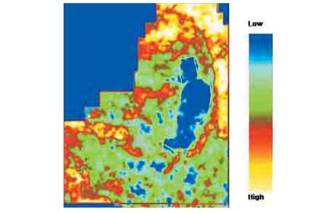 Multi Attribute Seismic Analysis On Avo Derived Parameters A Case