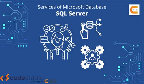 services of microsoft database sql server naukri code 360