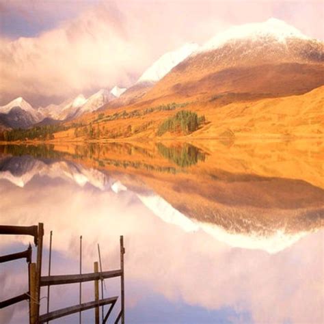 全国五彩旱稻农业项目对接暨助力乡村振兴发展座谈会成功召开浙江产能种植