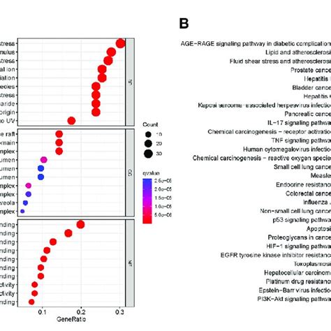 Enrichment Analysis A Bubble Plot Of Go Enrichment Analysis Including
