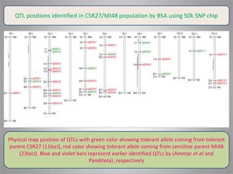 QTL MAPPING ANALYSIS PPTX