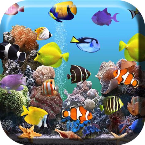 Aprender acerca 61 imagen aquarium fond ecran animé fr thptnganamst