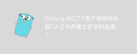 Go构建错误：为什么build Constraints Exclude All Go Files In？ Golang学习网