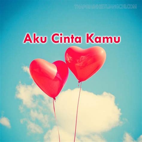 Aku Cinta Kamu Là Gì Tiếng Nước Nào Ý Nghĩa Tháp Giải Nhiệt Liangchi