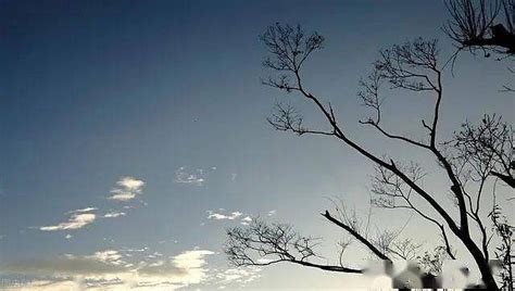 为什么人会失眠？五脏藏神说：心藏神、肺藏魄、肝藏魂、脾藏意、肾藏志！ 疾病查询、健康指导、养生经典、有病不求人中医认为， 雪球