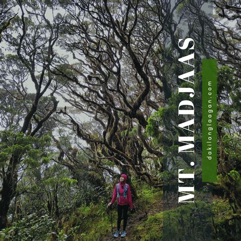 Where To Next Here Are The Top 10 Major Climbs In Visayas Dakilanglaagan