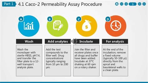 Caco 2 Cell Permeability Assay