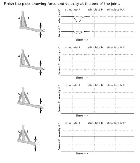 Solved When Plotting The Lines Above What Is The Chegg Com