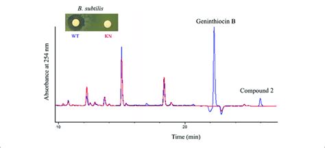 Comparative Rp Hplc Chromatogram At 254 Nm Of The Crude Extracts From Download Scientific