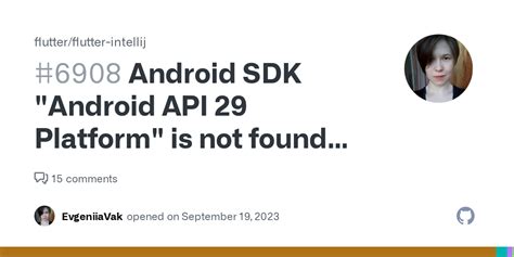 Android Sdk Android Api 29 Platform Is Not Found On The Disk Or