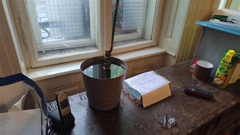 Милош Јанковић Зграда УКС у Француској 7 поплављена и празна уочи јубилеја Sbs Serbian