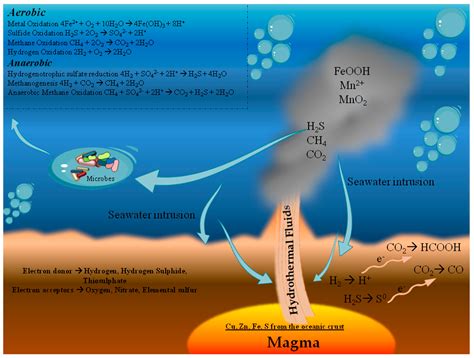 Hydrothermal Vents Diagram