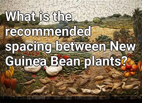 What Is The Recommended Spacing Between New Guinea Bean Plants