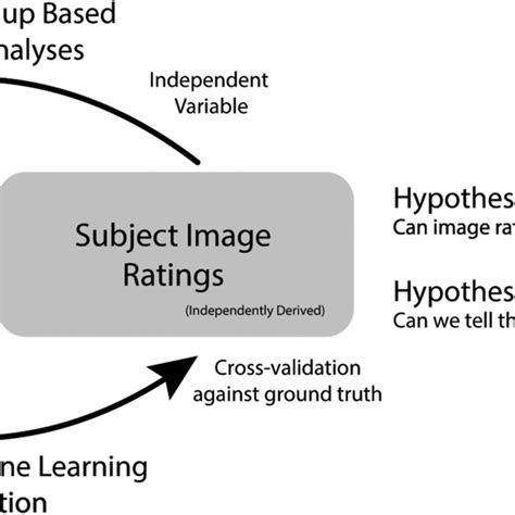 Graphical Illustration Of The Analyses Strategy And Respective Hypotheses Download Scientific