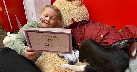 Home Reading Ranch Tutorial Centers