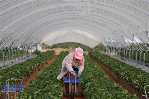 إيطاليا تستهدف استقدام 180 ألف عامل أجنبي والمغاربة ضمن المستفيدين