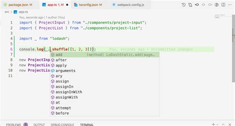 Way To Use 3rd Party Libraries In Typescript By Amir Mustafa Geek