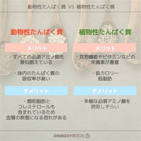 動物性たんぱく質vs植物性たんぱく質 Onbody韓医院