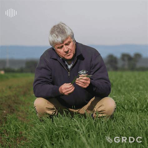 A New Era For Oat Breeding Grdc Podcast Listen Notes