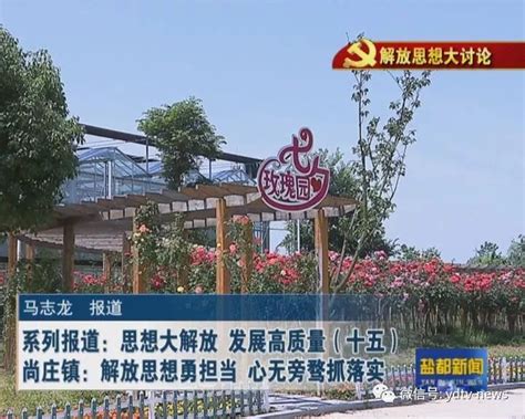 解放思想大讨论 系列报道：思想大解放 发展高质量（十五）尚庄镇：解放思想勇担当 心无旁骛抓落实