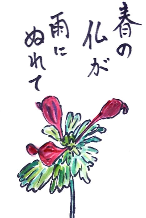 春の仏が雨にぬれて 絵手紙 交流ひろば てがみ倶楽部