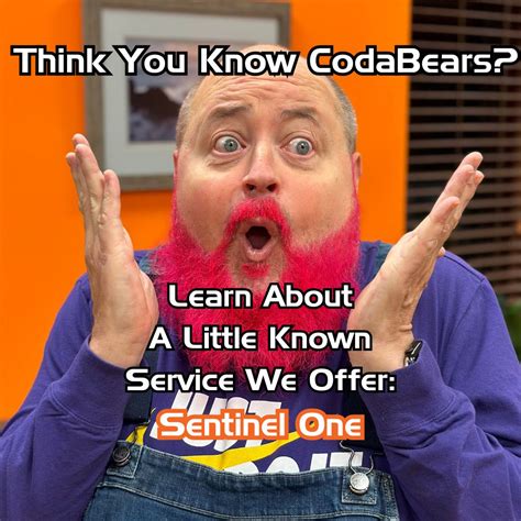 Codabears Sentinelone Cybersecurityexperts Softwaredevelopment