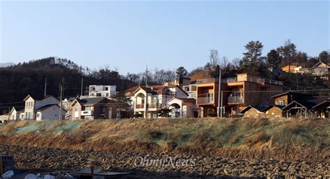 조현초등학교 주변에 신축한 단독주택들이 늘어서 있 오마이뉴스 모바일